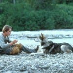 New 'White Fang' Adaptation Confirmed by Disney | Rotoscopers
