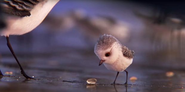 [Review] Oscar Nominated Shorts: ‘Piper’ | Rotoscopers