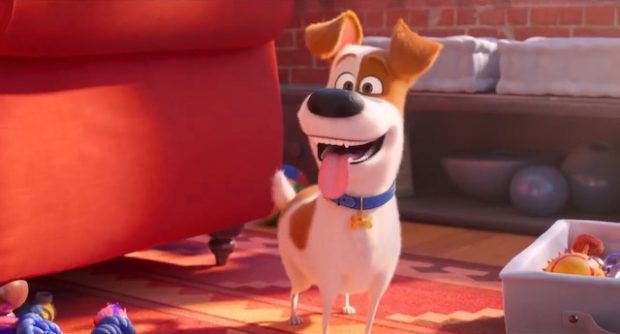 Illumination Unleashes 'The Max Trailer' for 'The Secret Life of Pets 2 ...